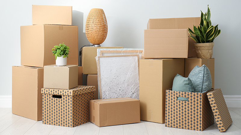 Meet the founder of Hong Kong's first sustainable relocation company