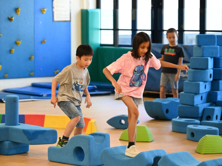 Summer Programmes for the School Holidays at CDNIS